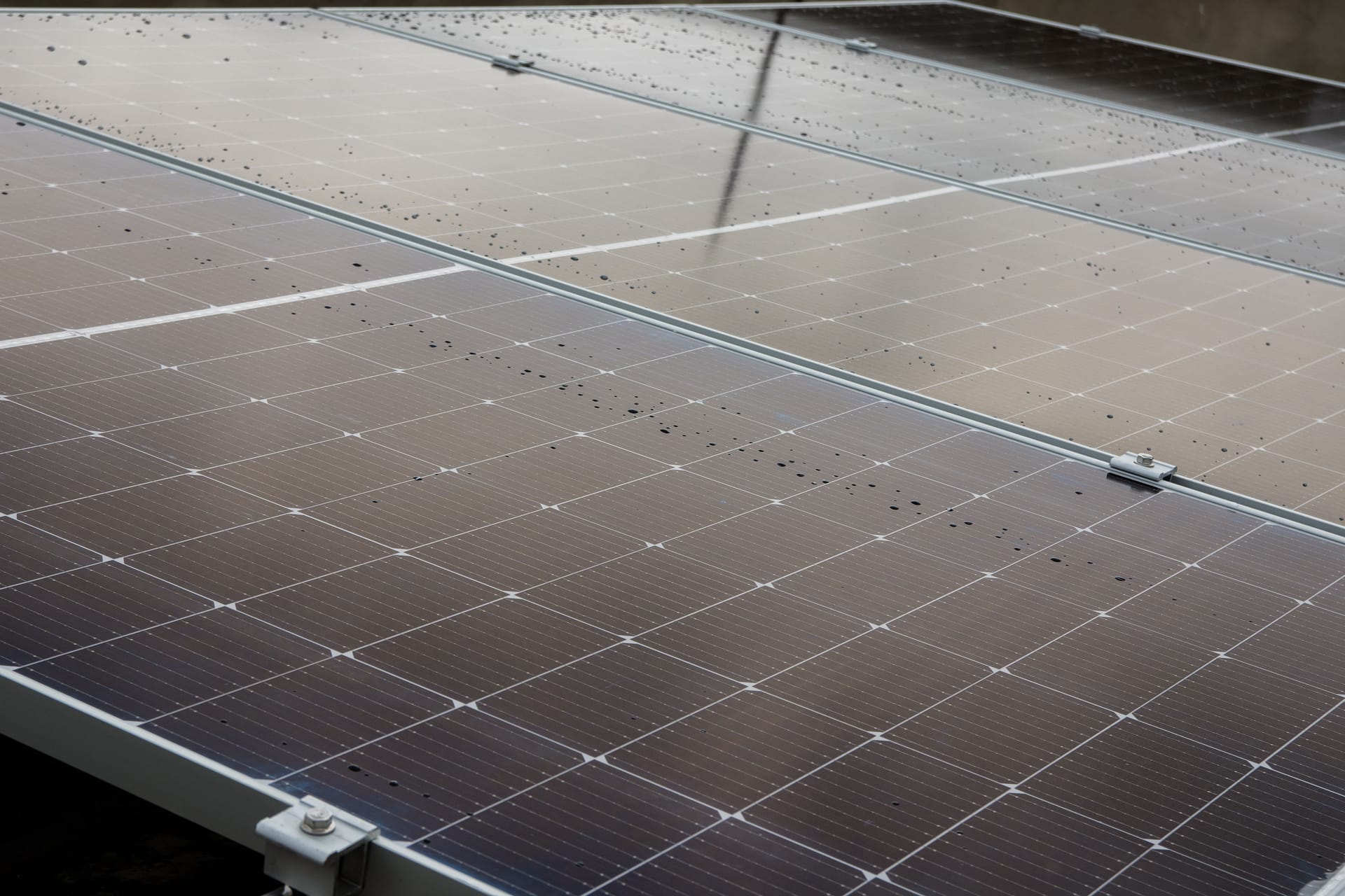 Are Solar Panels Worth It in Seattle?